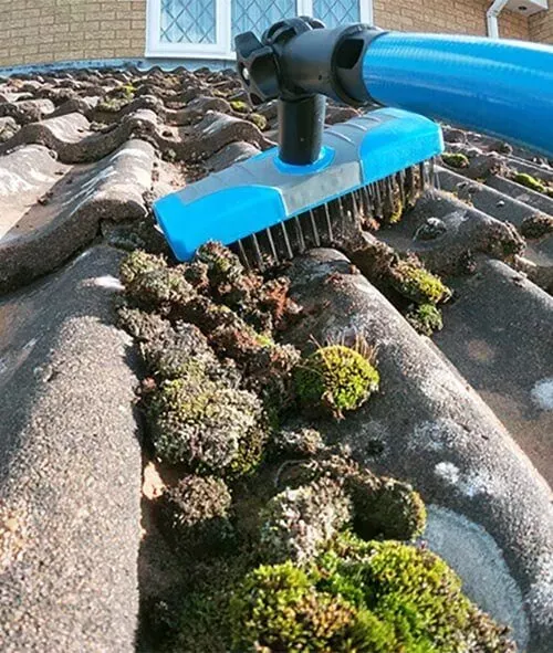 Wunderschãƒâne Moos Dach Entfernen Hausmittel Bild